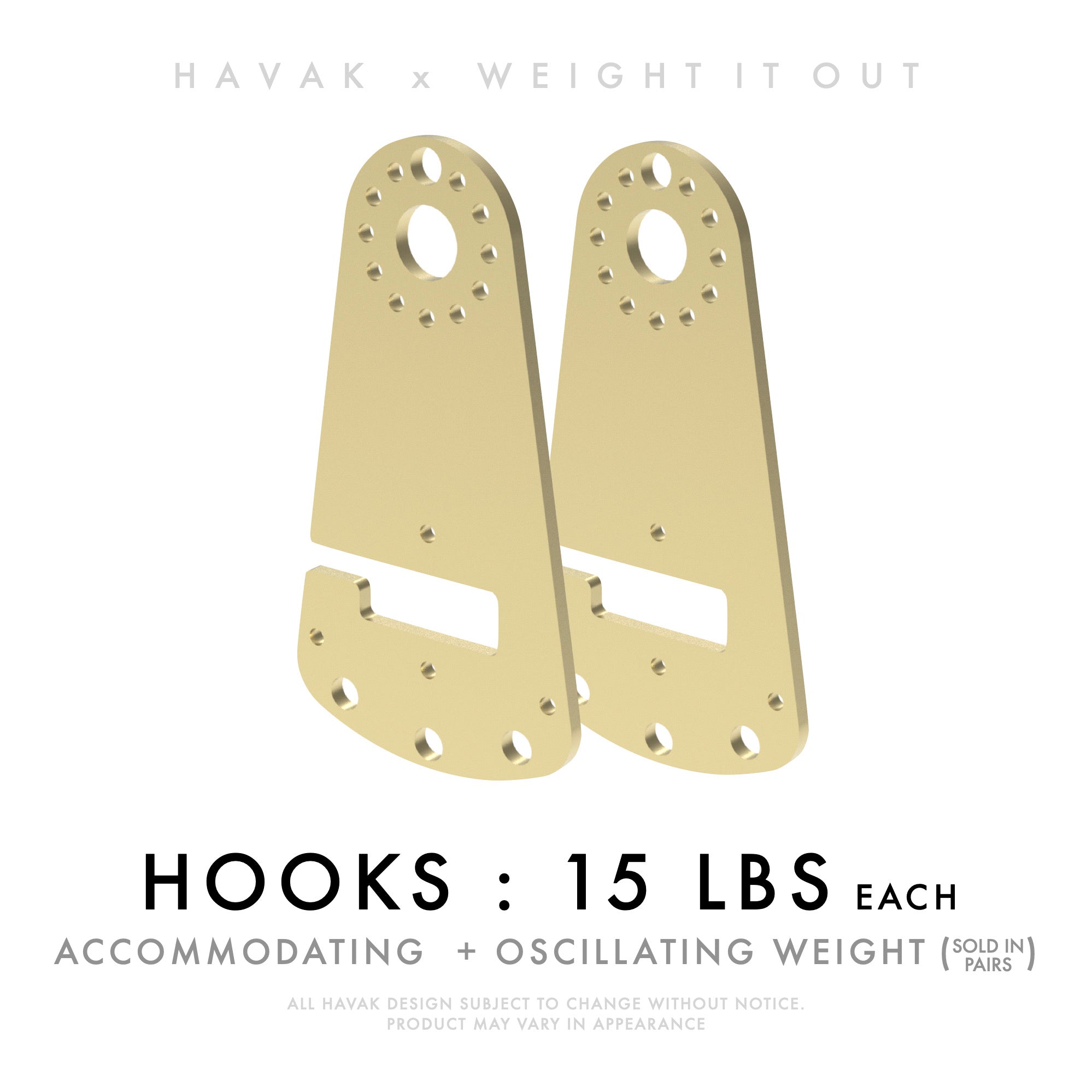 Havak Hook 15 Pounds Solid Steel Pair - Weight It Out